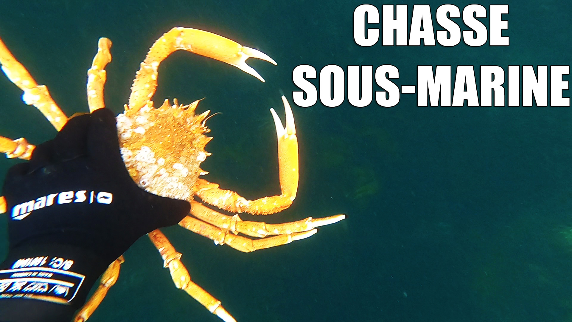 Ma Première Sortie en Chasse Sous-Marine ! Pêche en Apnée ! | Rêves de ...