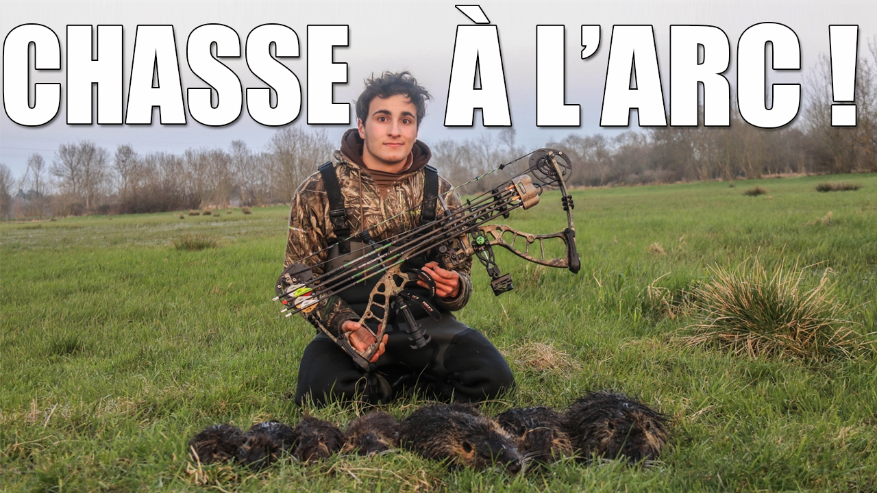 Chasse à l'Arc : Quelques Belles Scènes de Chasse ! - Marius Chasse ...