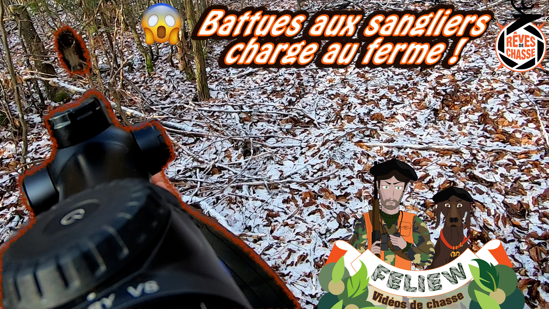 Scènes de chasse en battue : charge de sanglier au ferme et tirs ...