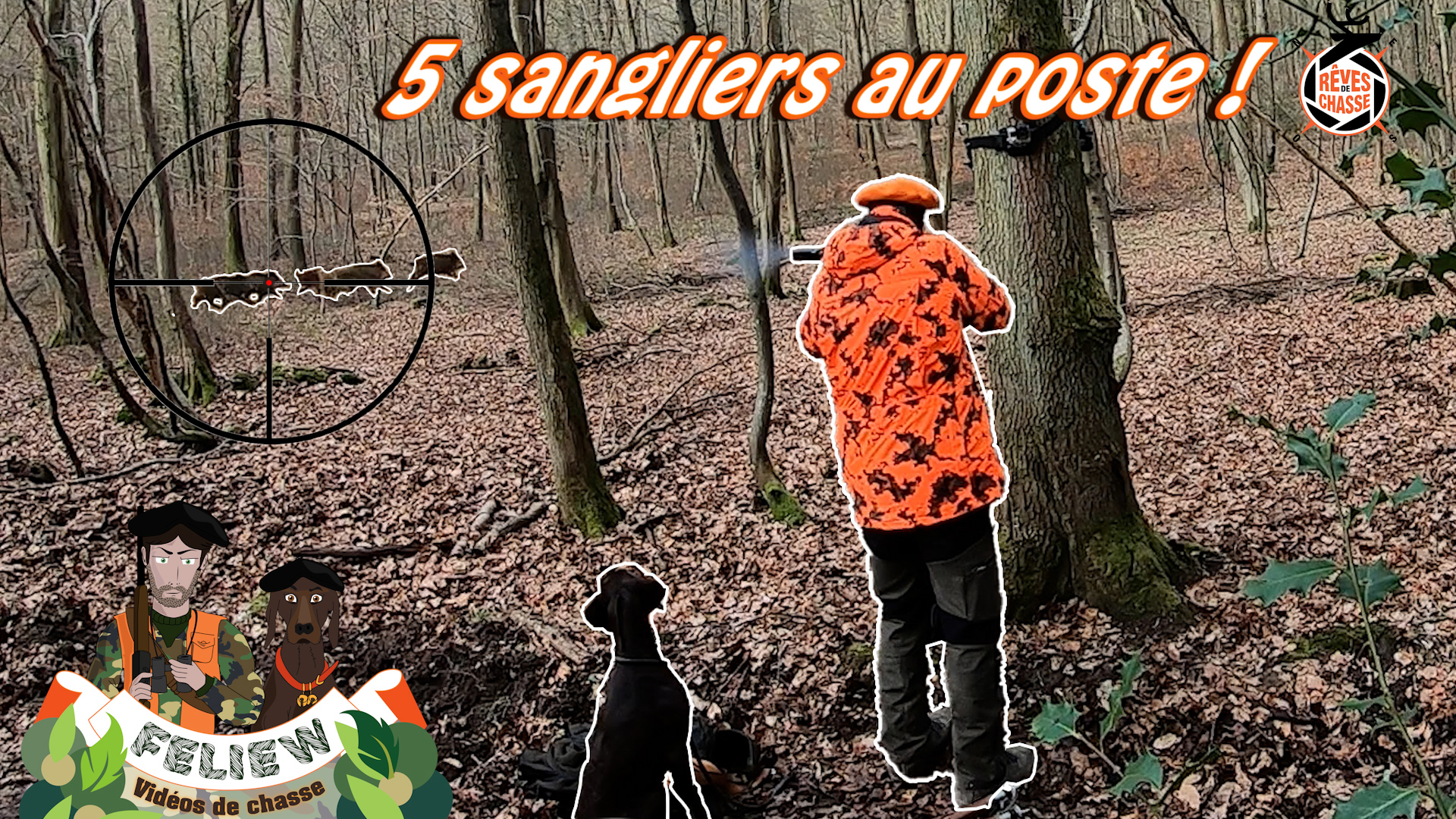 Superbe chasse au sanglier en battue chez @Chasse HD : 5 sangliers au ...
