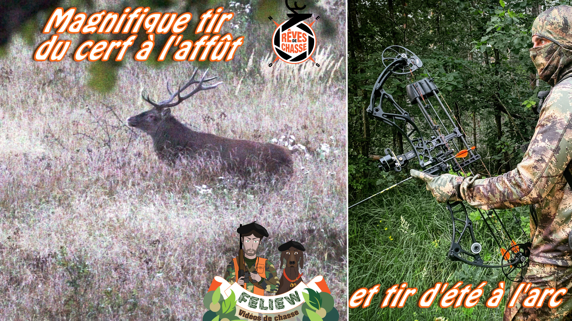 Magnifique tir d'un cerf à l'affût | Rêves de chasse