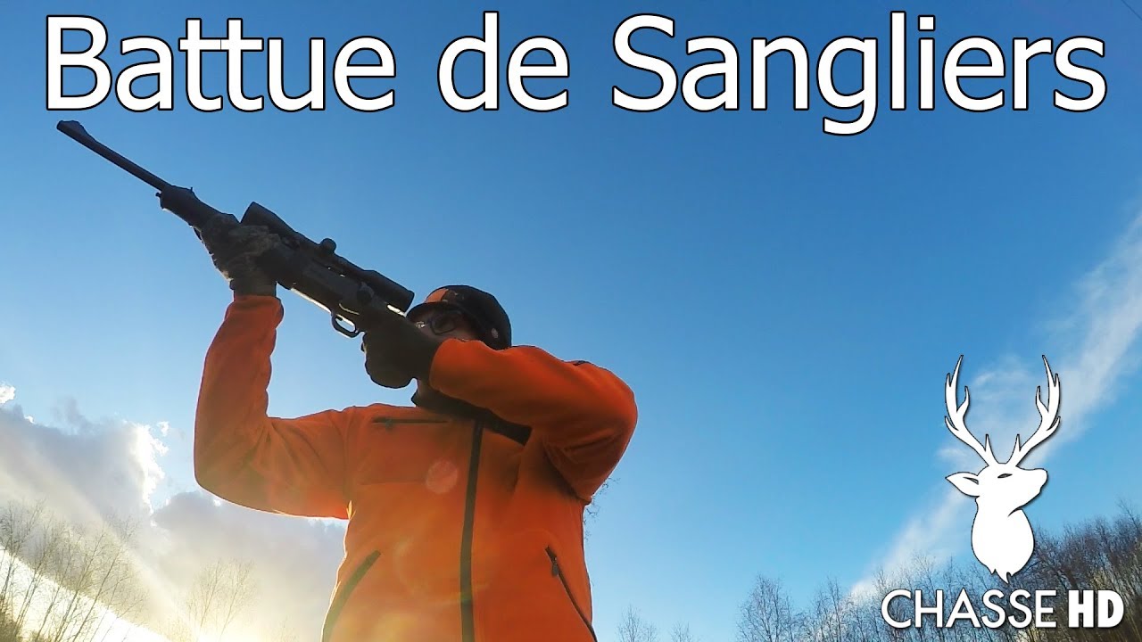 Chasse au Sanglier en Battue - De belle scènes hivernales ! Chasse HD ...
