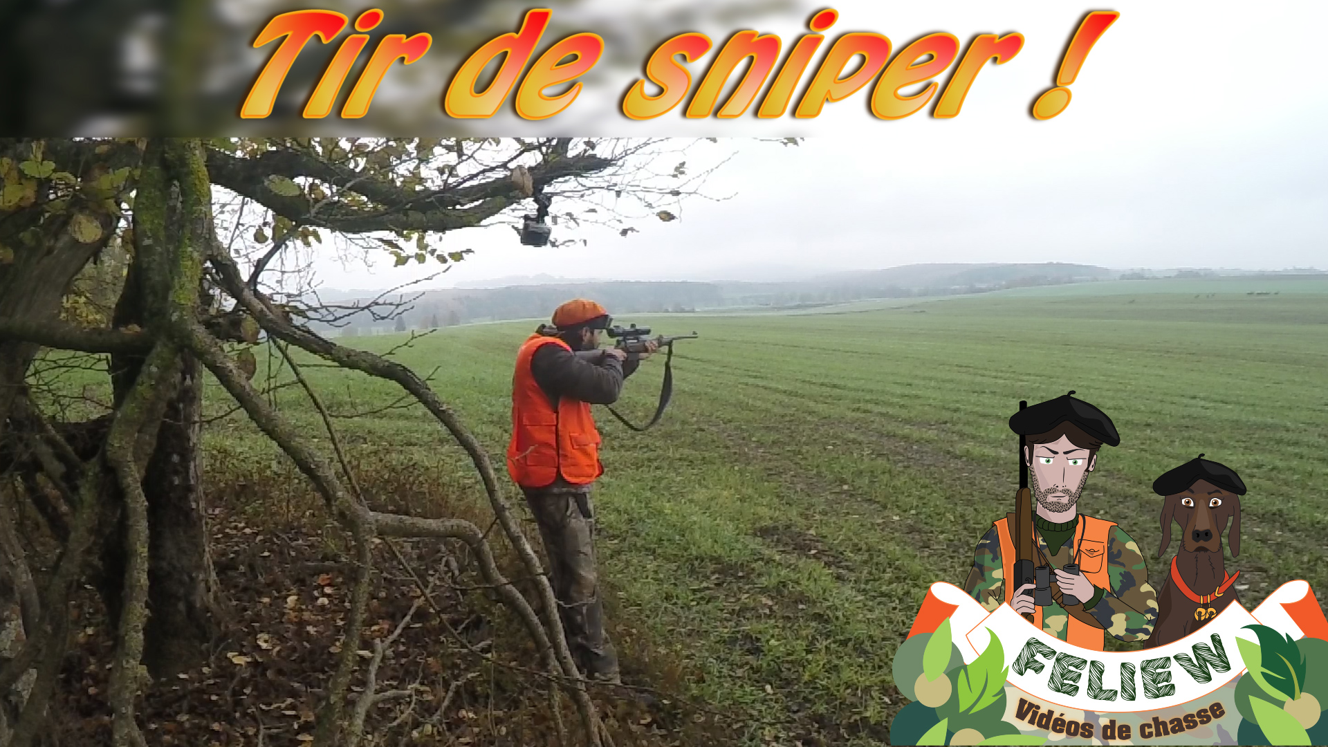 Chasse en battue du sanglier cerf et chevreuil, un tir de sniper ...